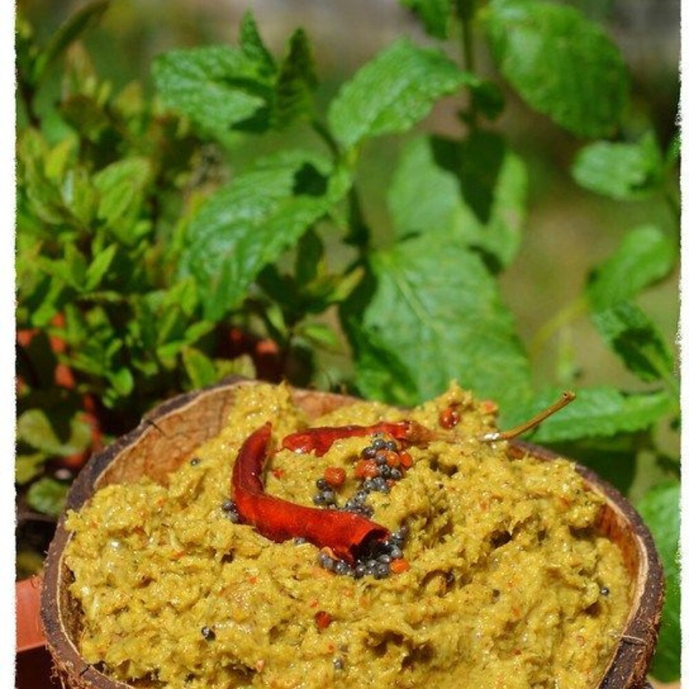 Wholesale Mint Pickle without Garlic Supplier USA – Bulk Indian Pickle ...